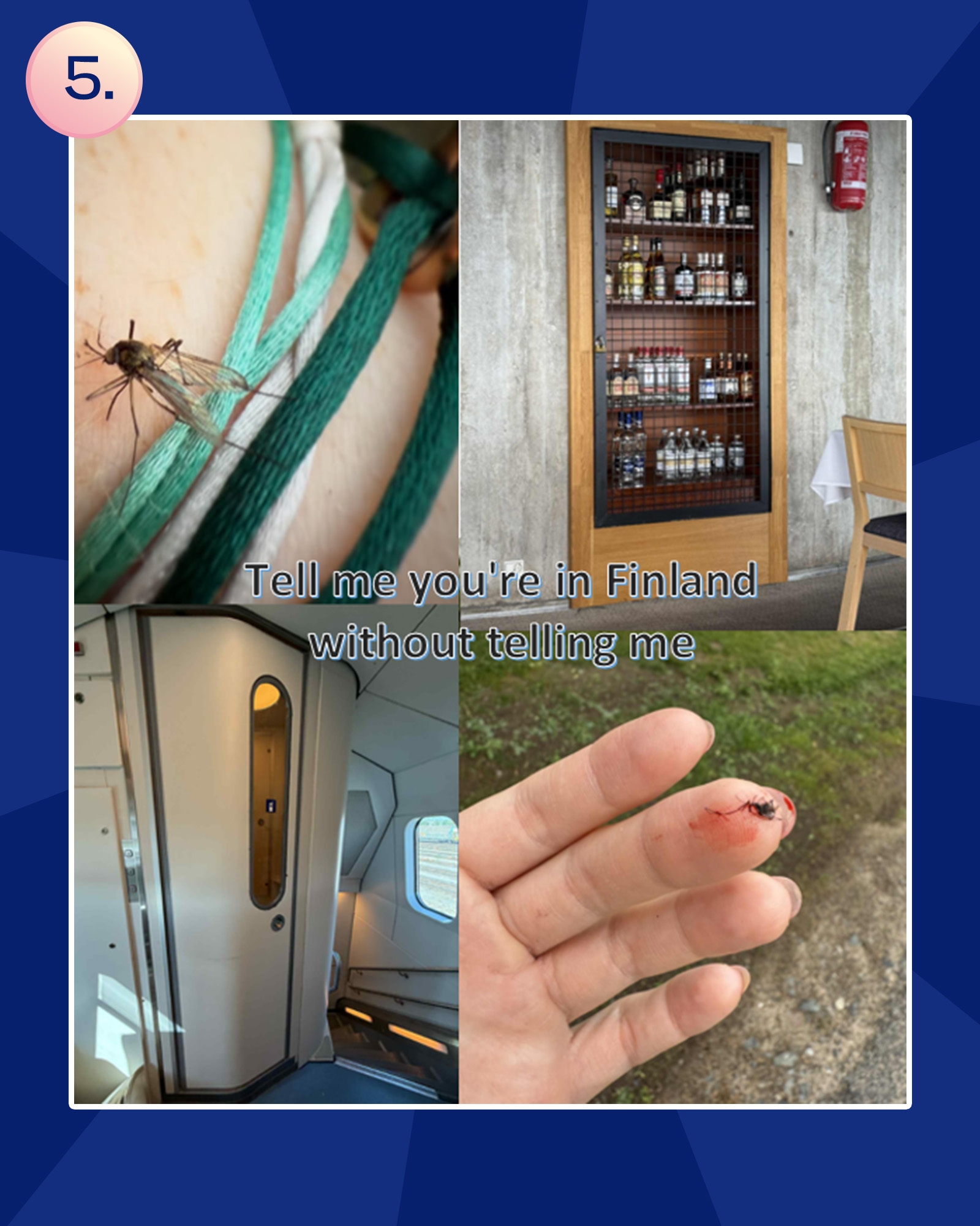 Äänestä voittaja! Suomen suomalaisin meemikisan äänestys on nyt ...